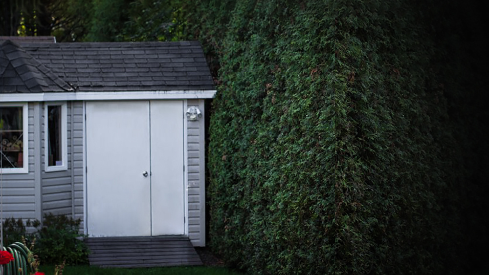 How to Choose the Right Rain Gutter