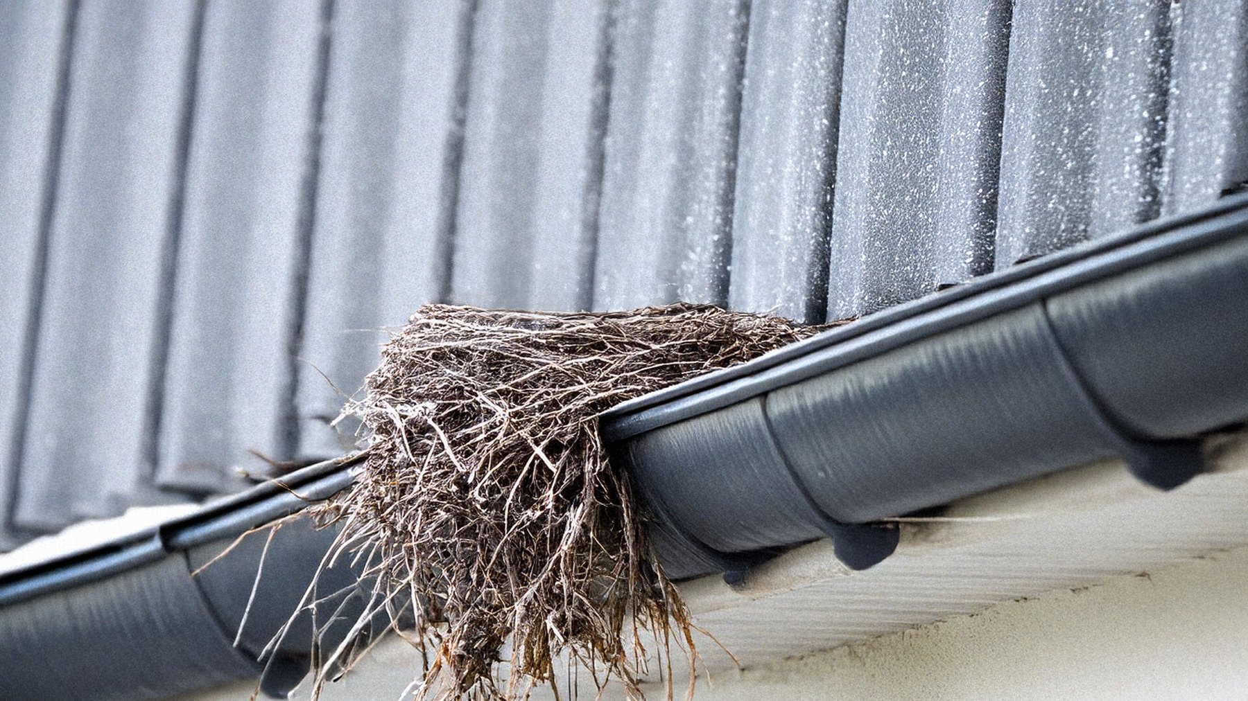 How to Hang Holiday Lights When You Have Gutter Guards