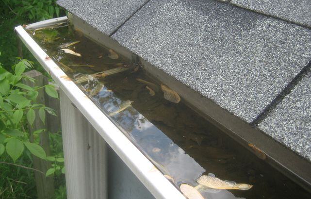 Clogged Gutters: Signs of Obstruction