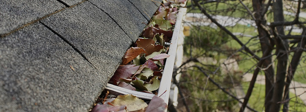 Main Issues with Rain Gutters and Their Solutions